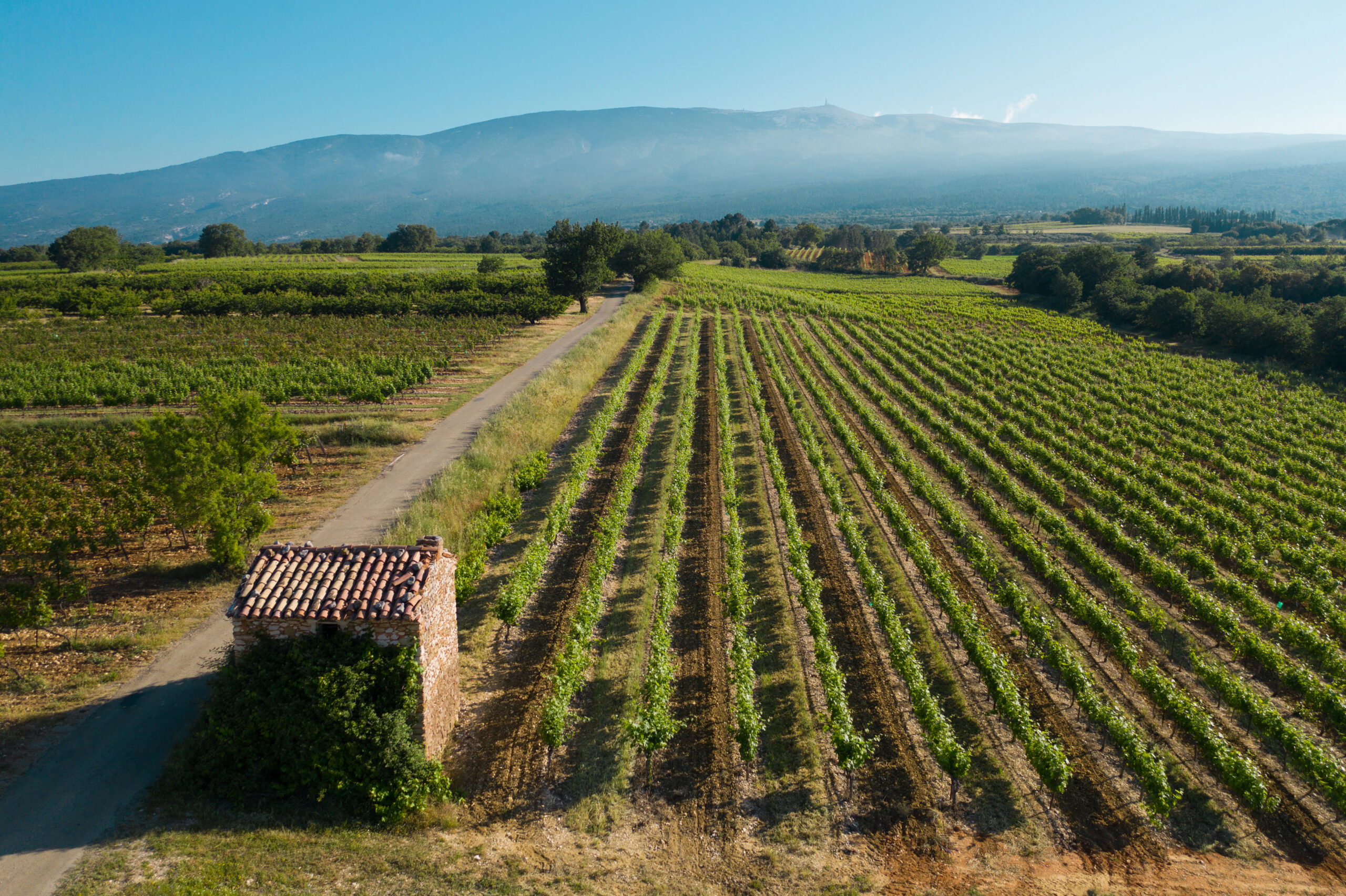 AOC Ventoux Wine feature experience at Kali Restaurant on April 20th ...
